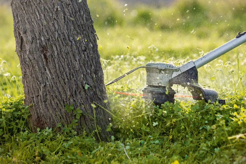 Grass cutting machine rpm store