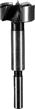 Bosch forstner bit store