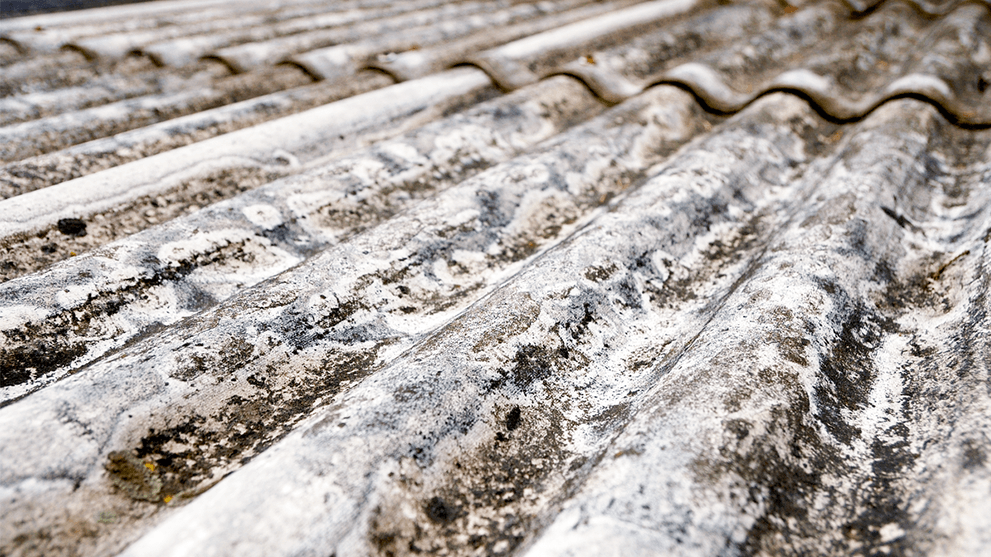 Dust types on the job | Bosch Professional